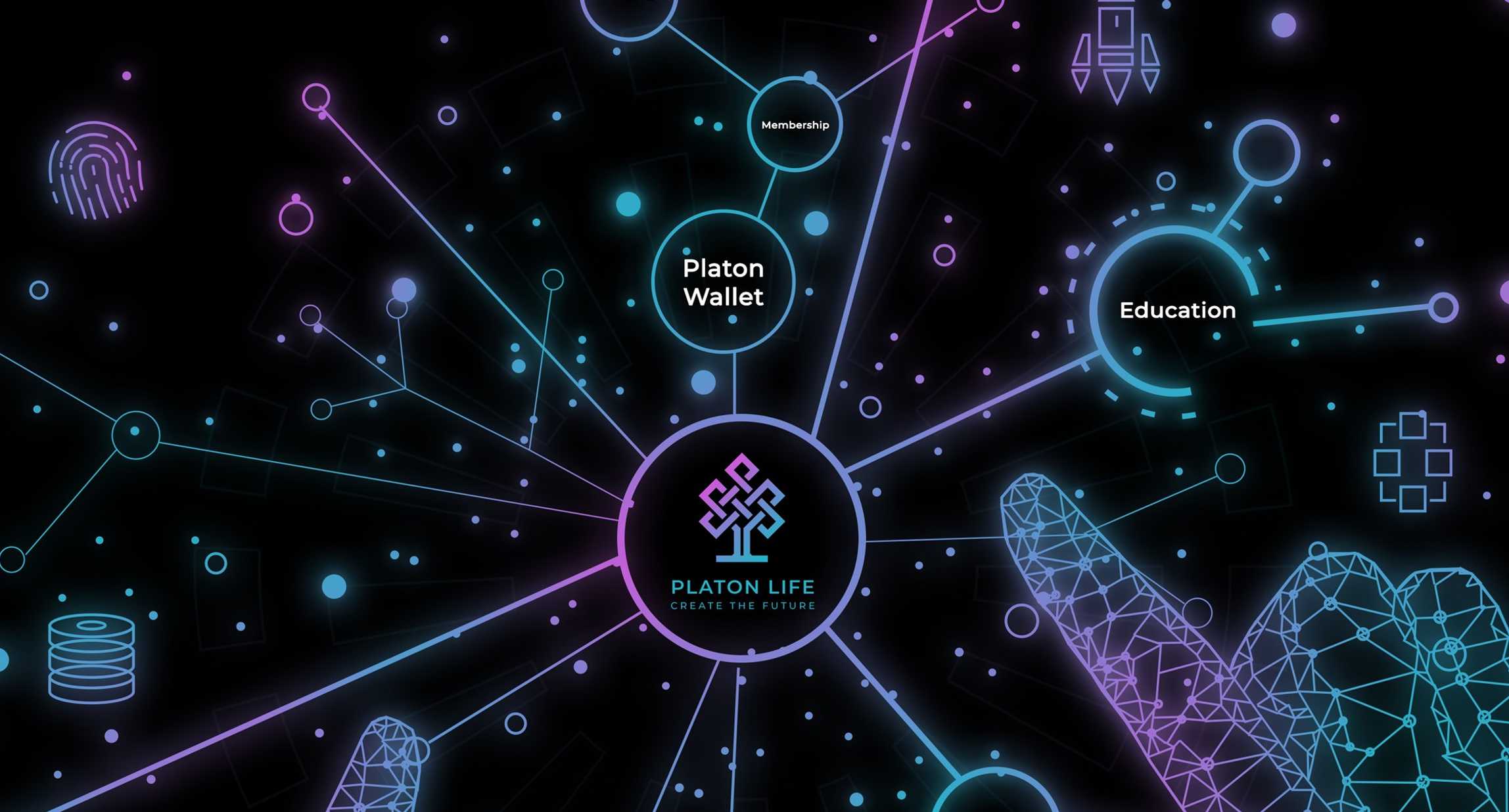 Lokata cyfrowych walut. Nowa oferta fintechu Platon Life » Fintek.pl